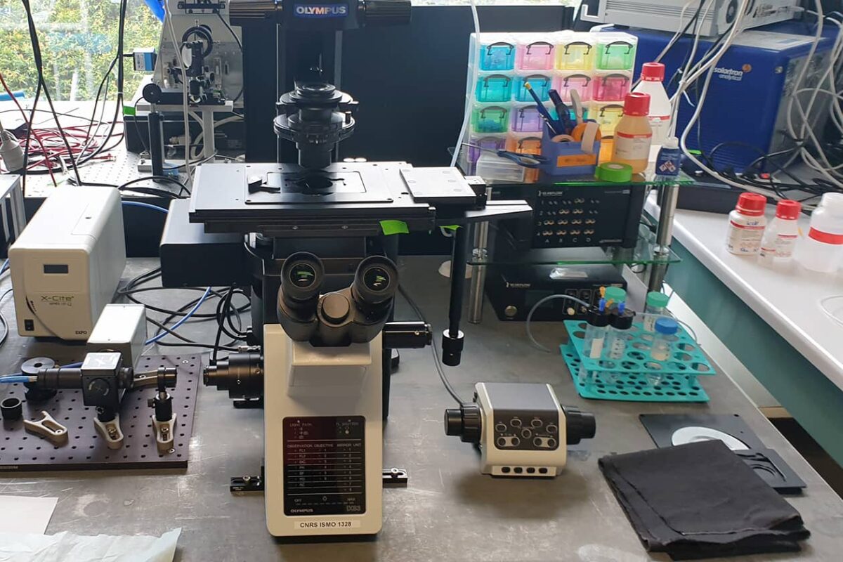 Plateforme CPBM – Institut des Sciences Moléculaires d Orsay